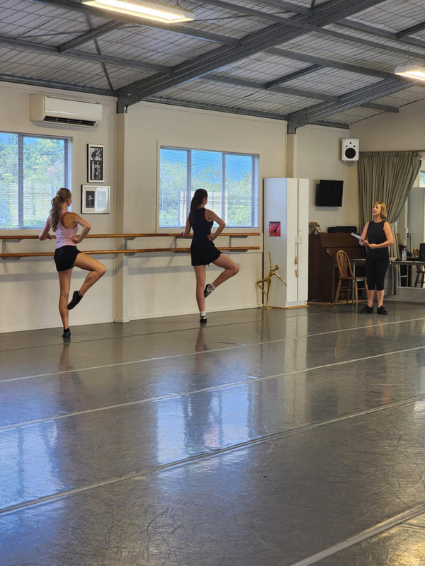 Tauranga Summer School 2025 Report | The New Zealand Academy of ...